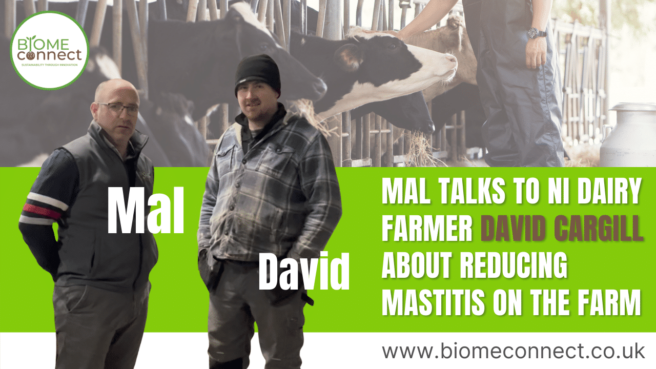 David Cargill talks about reducing mastitis on the farm - Biome Connect